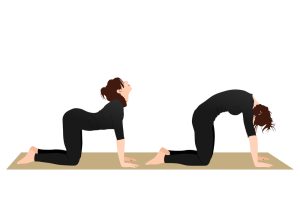 Back Warm Up Exercises